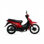 Baccio PX110F – Cyclesmotors